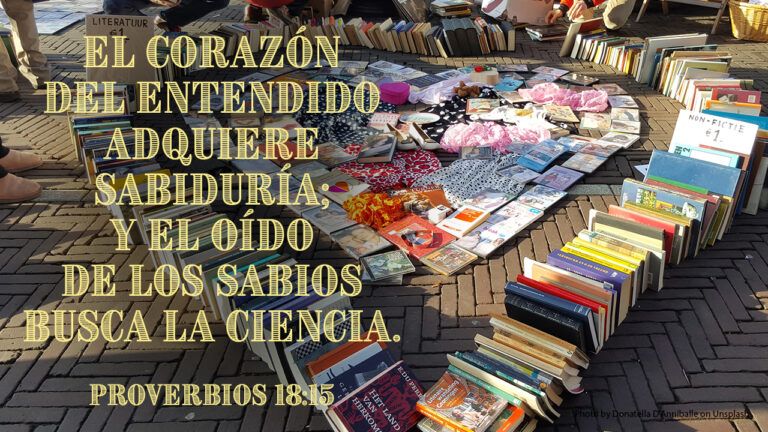 Lectura en el libro de Proverbios 18 - Reflexiones sobre la Biblia ...