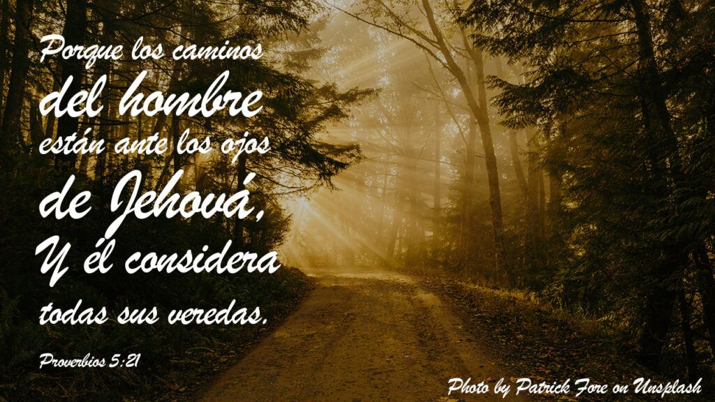 Lectura en el libro de Proverbios 5 - Reflexiones sobre la Biblia ...