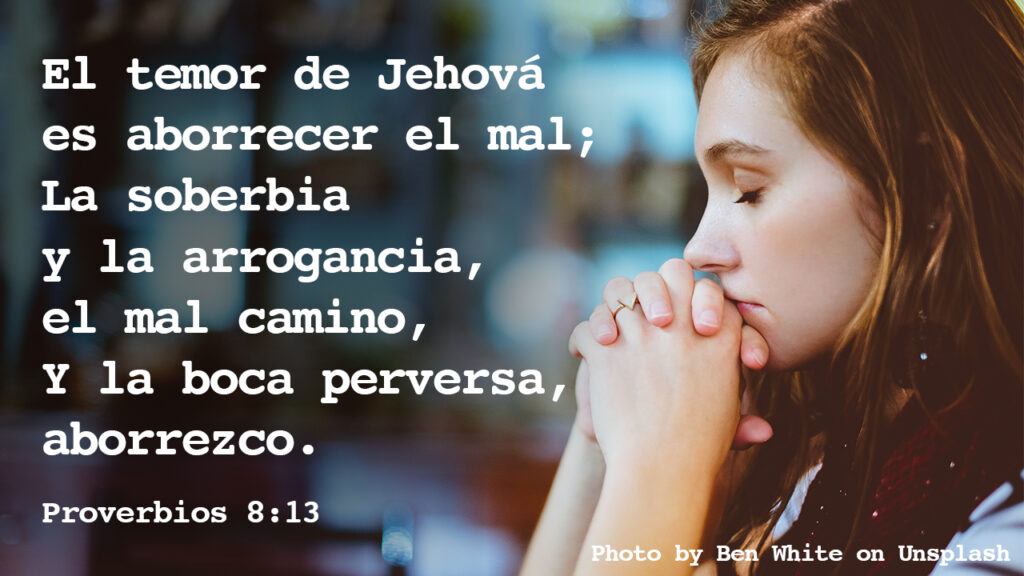 Lectura en el libro de Proverbios 8 - Reflexiones sobre la Biblia ...